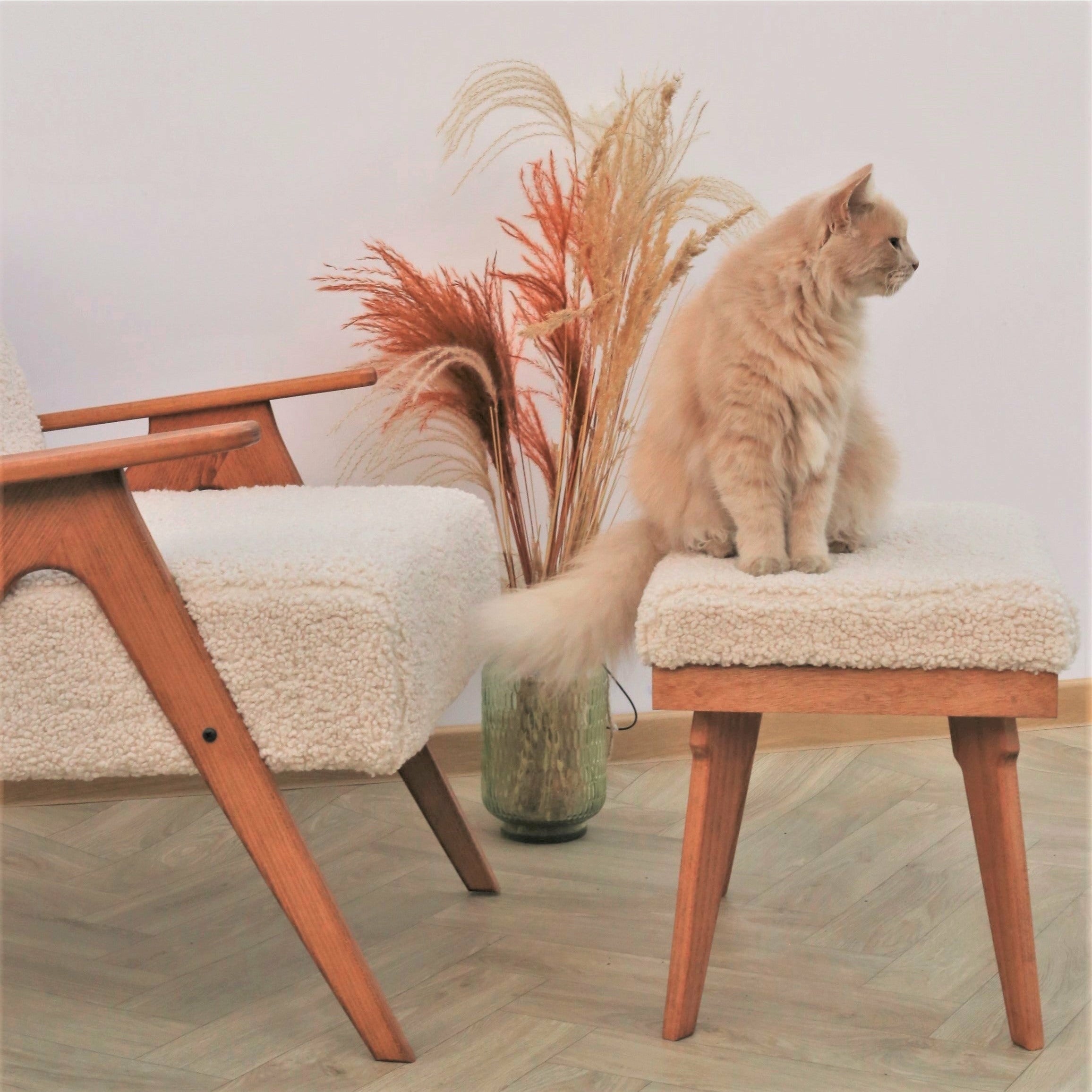 Set fotelja i tabure – Retro Design